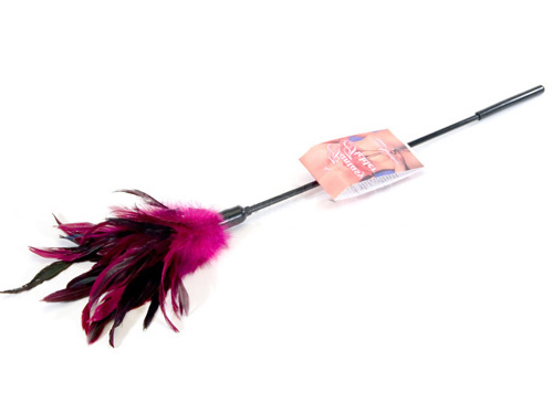 Soft feather tickler for every inch of your partner's body. | Uberoom